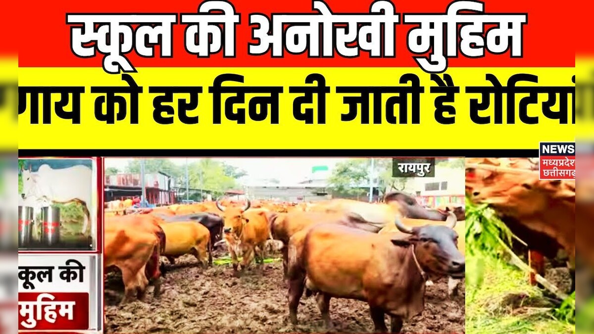 Raipur News : School की अनोखी पहल..एक रोटी गाय के लिए, बच्चों की Tiffin में एक रोटी एक्स्ट्रा ...