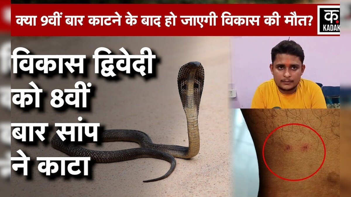 Fatehpur Snake Story: Vikas Dwivedi को rajsthan में फिर उसी सांप ने काटा, पिता को भी आया सपना ...