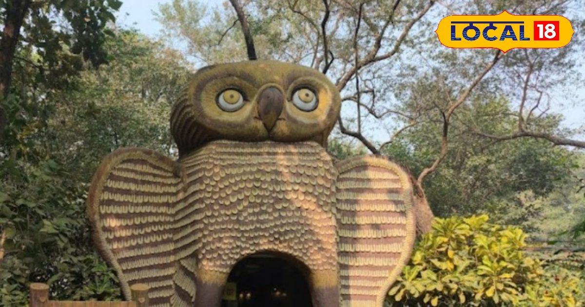 An attractive tree house along with an open nature library is being ...