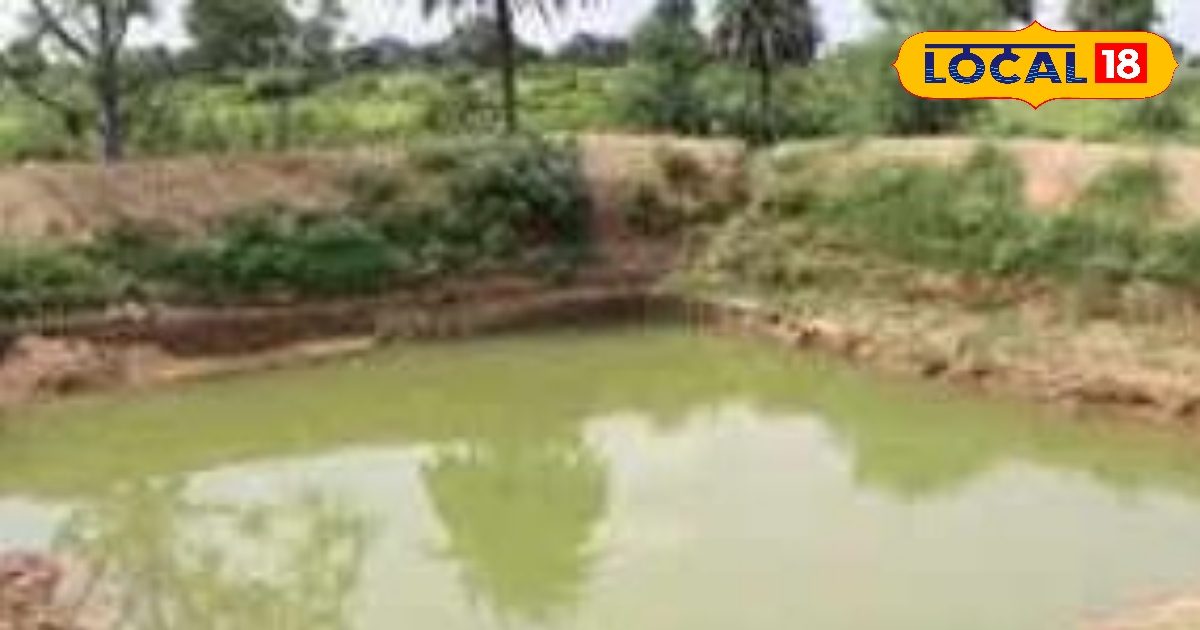 Now up to 90% grant will be available for constructing a farm pond in ...