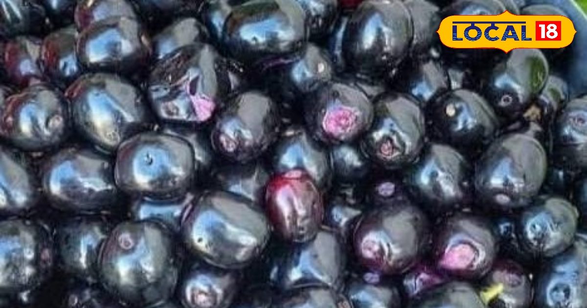 You will be surprised to know the medicinal properties and benefits of the Jamun fruit which ...