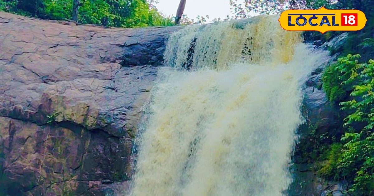 Nakia Waterfall: घने जंगलों से घिरा हुआ है यह झरना, बरसात में बढ़ जाती ...