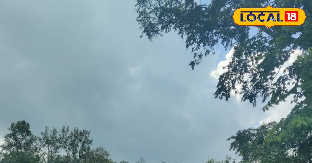 CG Weather update : छत्तीसगढ़ में लगातार तीन दिन बारिश के बाद मिली राहत ...