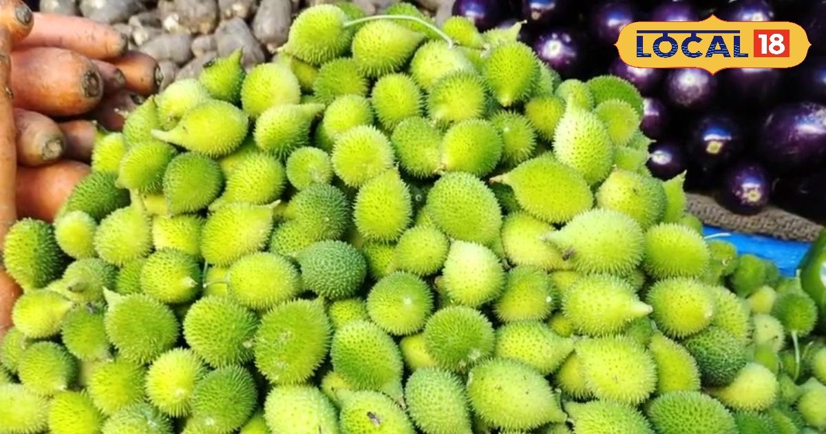 Etawah news - News18 हिंदी