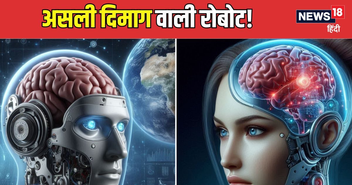 'चालाक चीनियों' ने बना दी जिंदा मशीन, आड़े आई एक समस्या, नहीं तो बदल ...