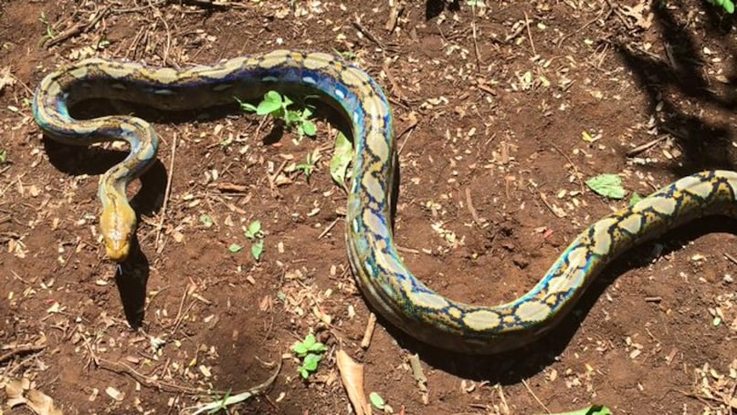 किसी का रेट 15 करोड़ तो कोई बिक रहा 42 लाख में, जनाब ये किसी प्रॉपर्टी ...