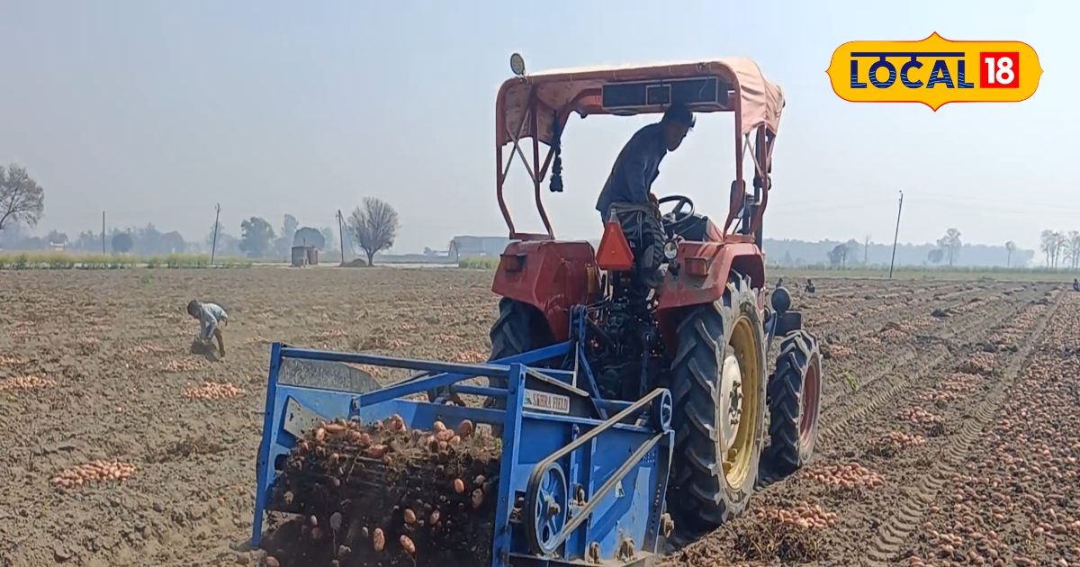 Tractor Cultivator Disc Harrow Hydraulic Disc Harrow Happy Seeder This ...