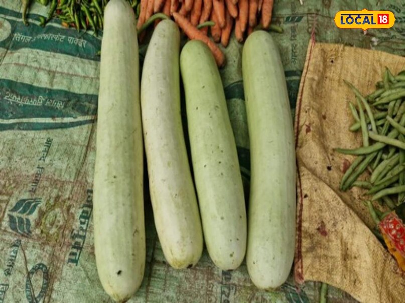 health benefits and Side effects of bottle gourd Lauki ke Juice ke ...