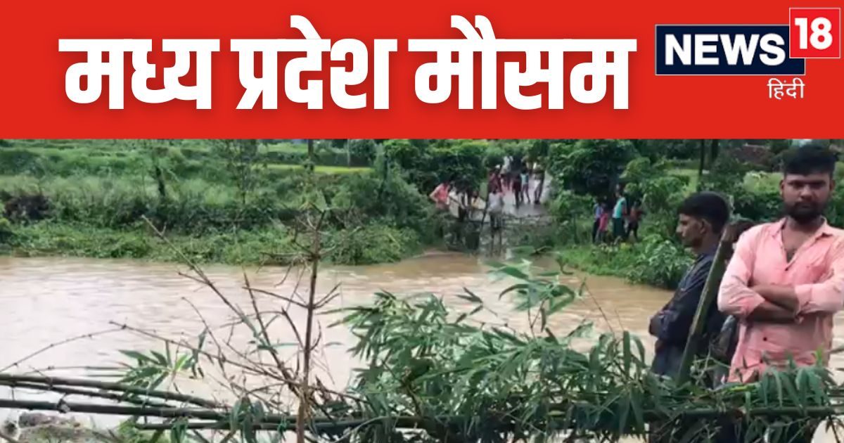 MP Weather: मध्य प्रदेश में मूसलाधार बारिश का दौर जारी, भोपाल, इंदौर, उज्जैन समेत 40 जिलों में ...