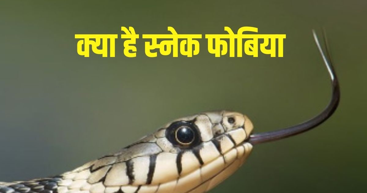 विकास दुबे को 7 बार सांप ने नहीं काटा, स्नेक फोबिया के शिकार... जानिये क्या है ये, क्यों होता है ...