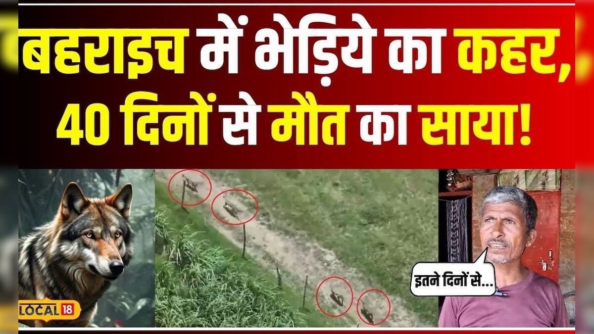Bahraich Wolf Attack: बहराइच में आदमखोर भेड़िये का कहर, 40 दिनों से ...