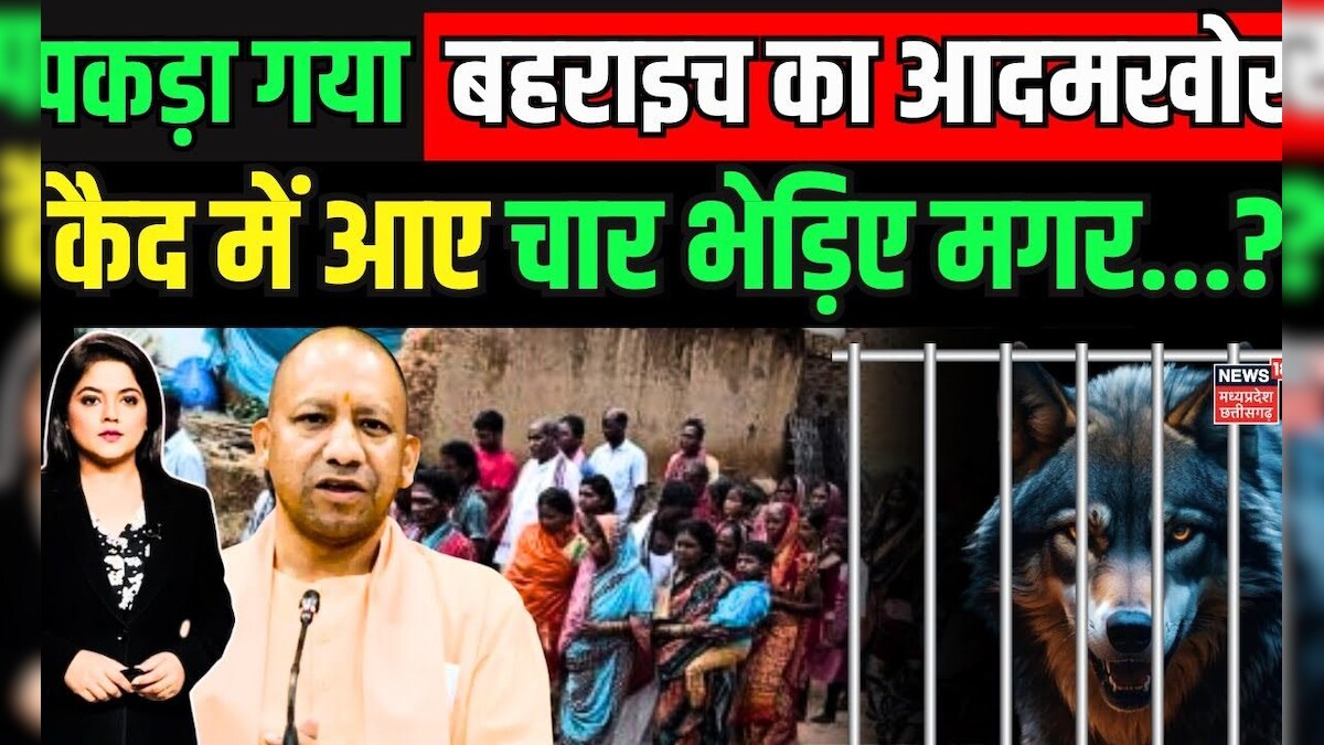 Wolf Attack in UP : Bahraich में आदमखोर भेड़ियों का आतंक| Wolf Attack ...