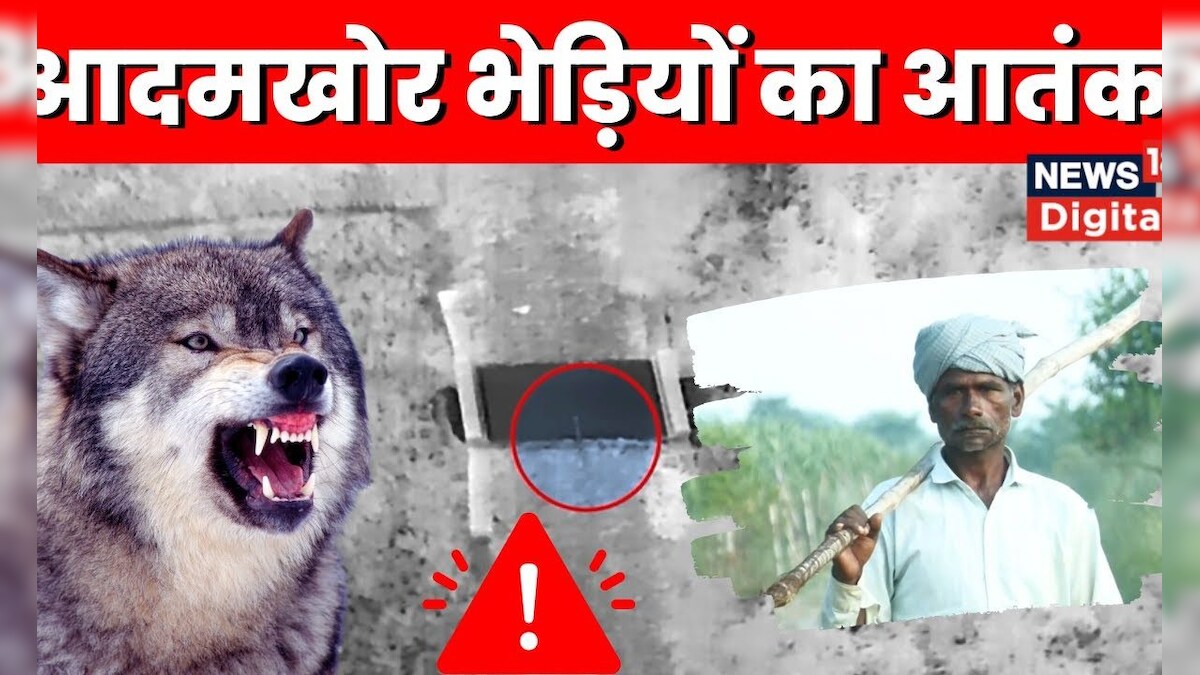 Bahraich Wolf Terror: बहराइच में खुले घूम रहे आदमखोर भेड़ियों को पकड़ने ...