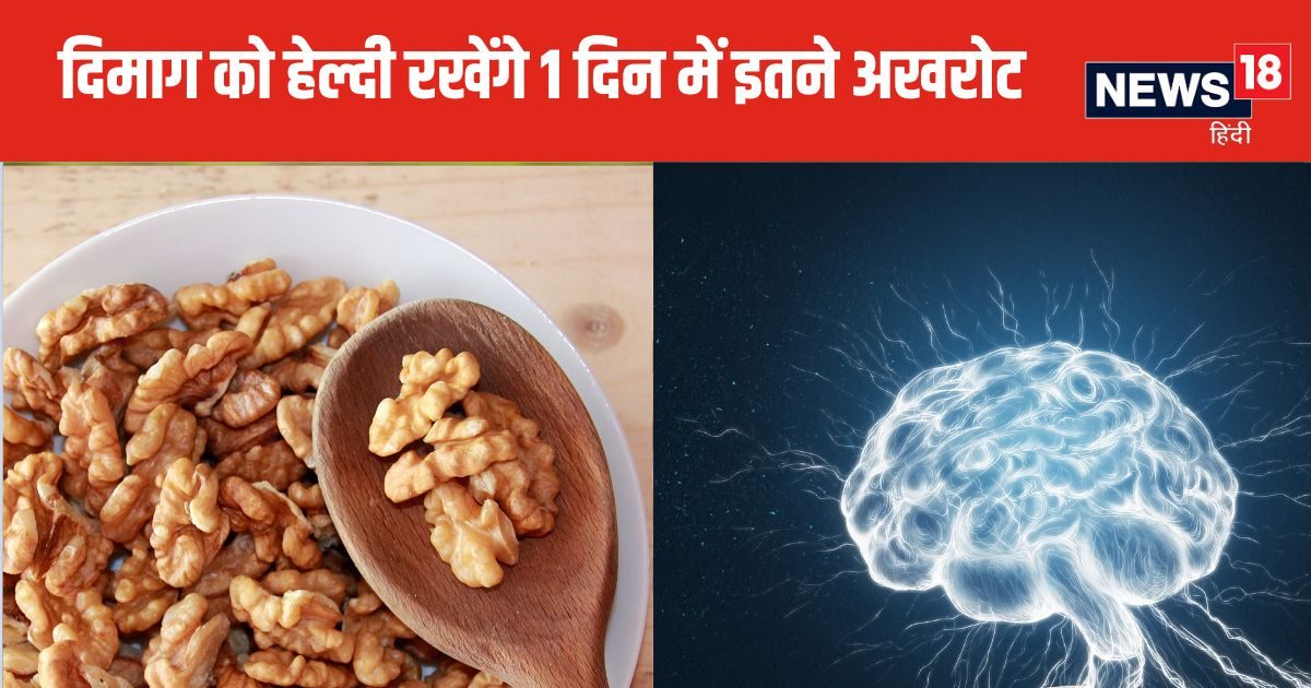 स्वस्थ दिमाग के लिए 1 दिन में कितने अखरोट खाना काफी है? जानें ब्रेन के ...