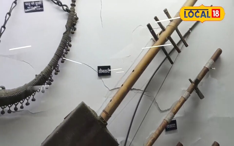 Tribal community has an old relation with musical instruments, tribals ...