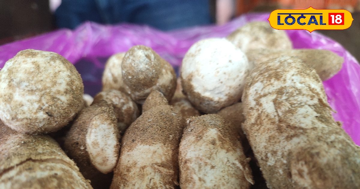 This is the most expensive native vegetable of Rajasthan, very tasty to ...