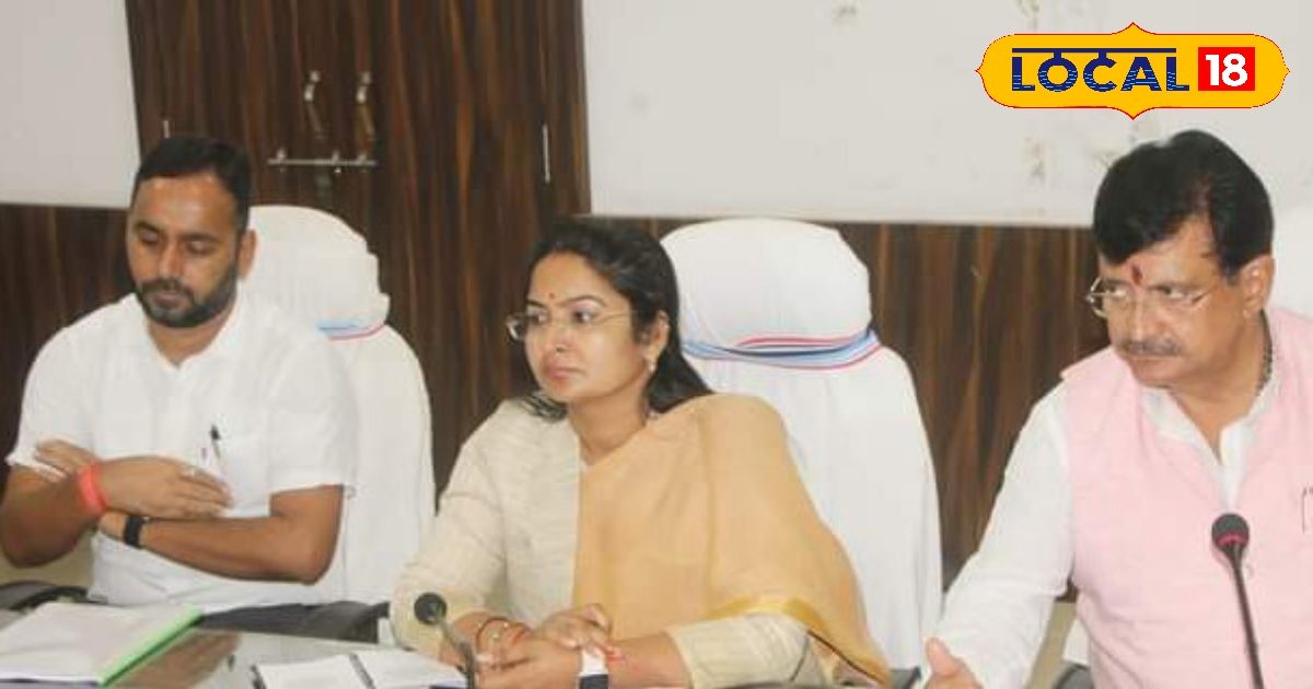 Under the ₹274 Cr RDSS project, 234 feeders in Satna and Maihar are ...