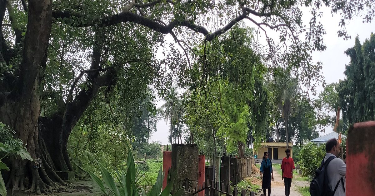 Purnia News: पिकनिक स्पॉट, मार्केट और खूबसूरत नजारें, सरकार करने जा रही ...