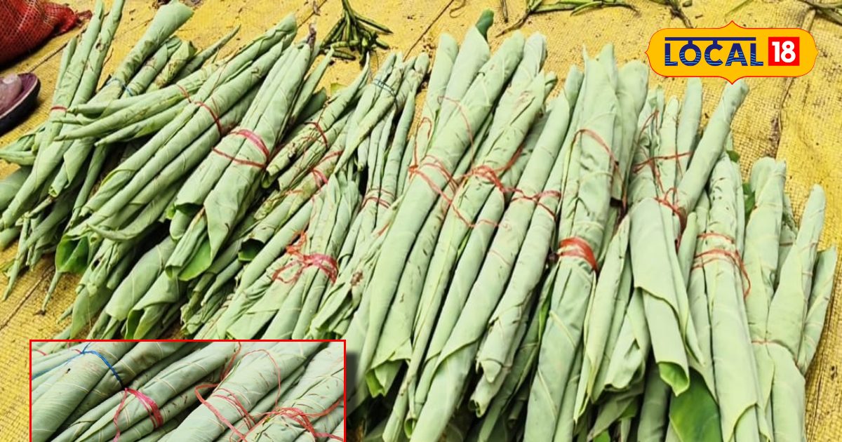 how to cultivation of arbi farming vegetable ghuiya ki kheti kaise kren ...