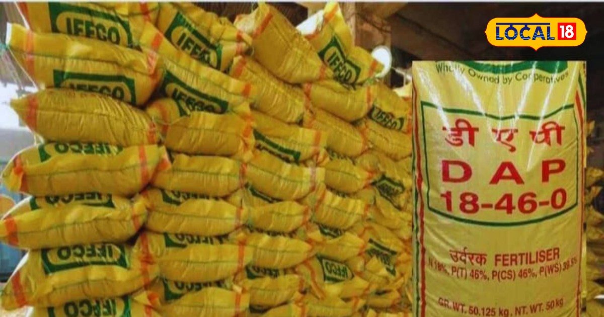 how to get a license for a fertilizer-seed shop What is the process ...