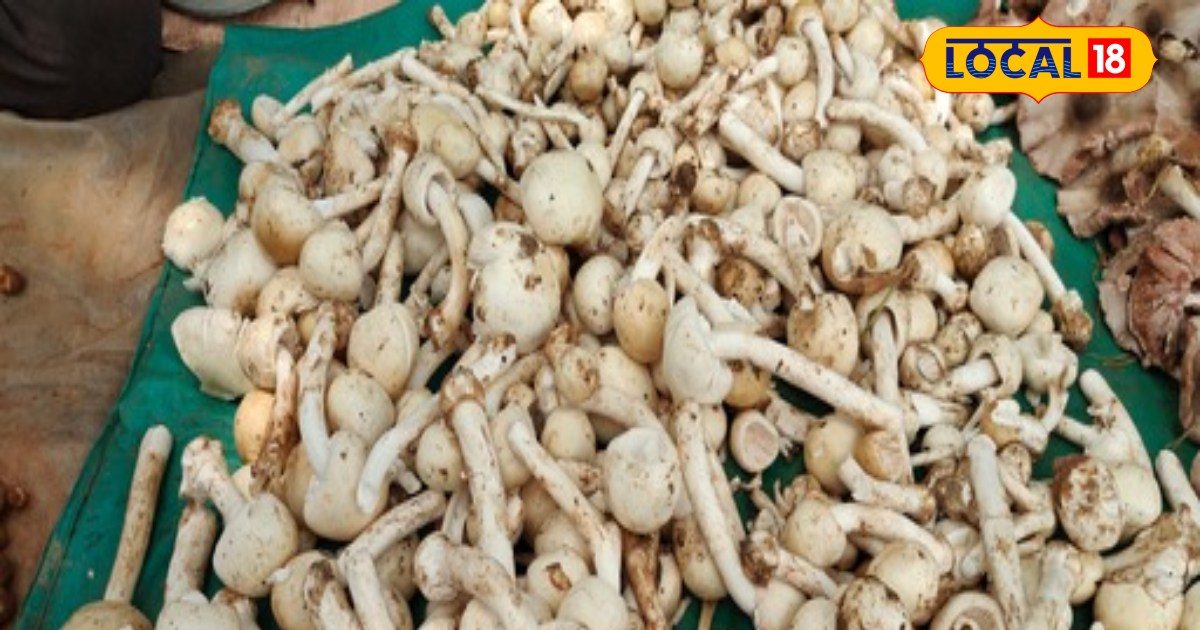 futkun is more expensive than chicken and mutton recipe test is best ...