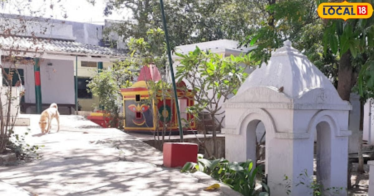 इस पागल बाबा मंदिर में भगवान से पहले कुत्ते को सिर झुकाते हैं लोग, ये ...