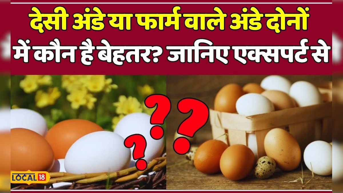 क्या Desi Eggs से बेहतर है Farm Eggs? Expert ने खोले चौकानें वाले राज ...