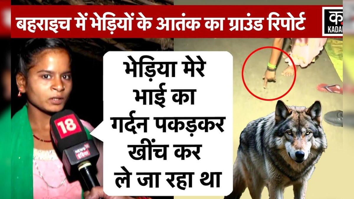 Bahraich Wolf Attack : आदमखोर भेड़ियों के आतंक का देखिए Ground Report ...