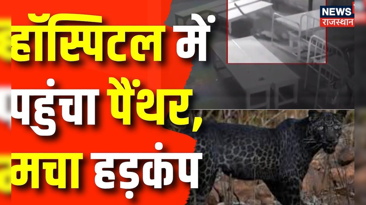 Rajasthan News : Hospital में घुसा पेंथर, मरीज हुए भयभीत | Chomu ...