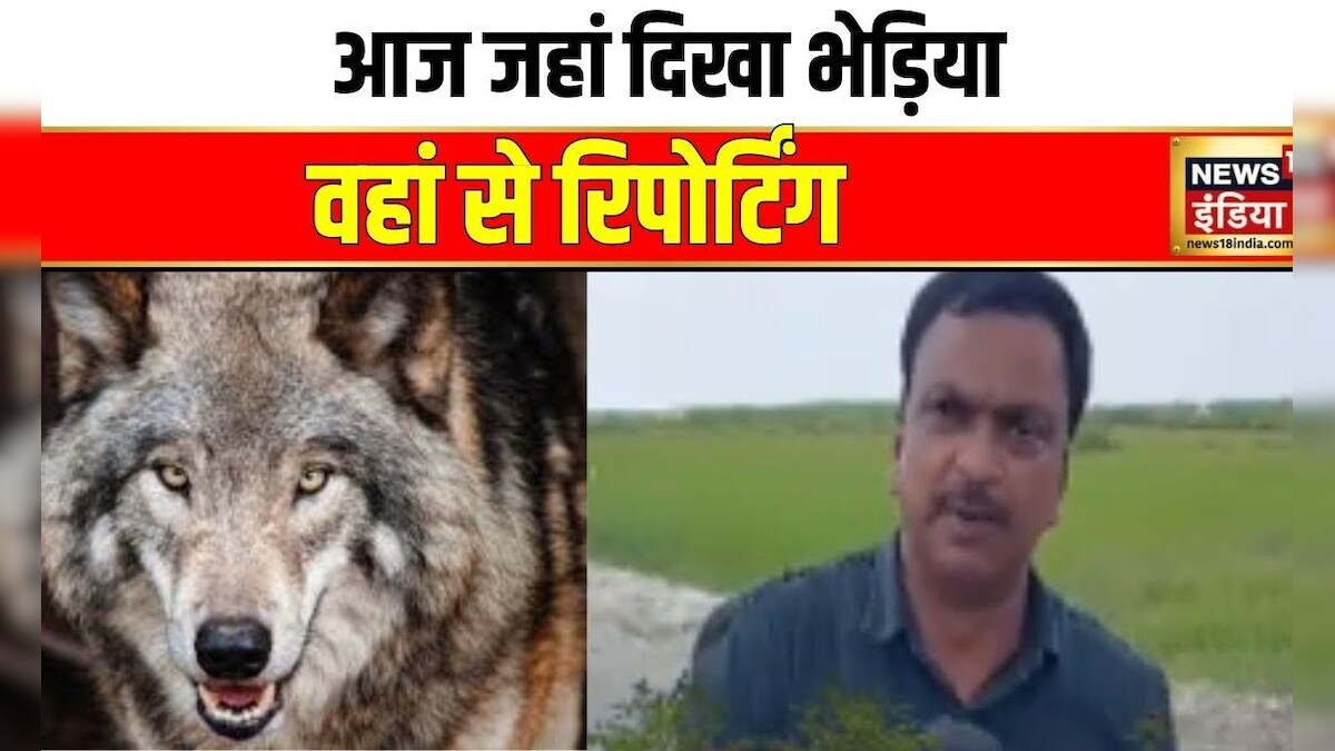 Wolf Terror In UP : कब पकड़ा जाएगा 'आदमखोर' भेड़िया ? Bahraich | Uttar ...