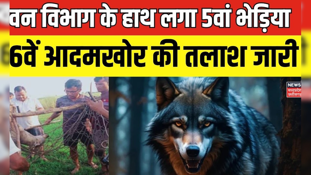 Wolf Attack in Bahraich : Forest Department के कब्जे में 5वां खूंखार ...