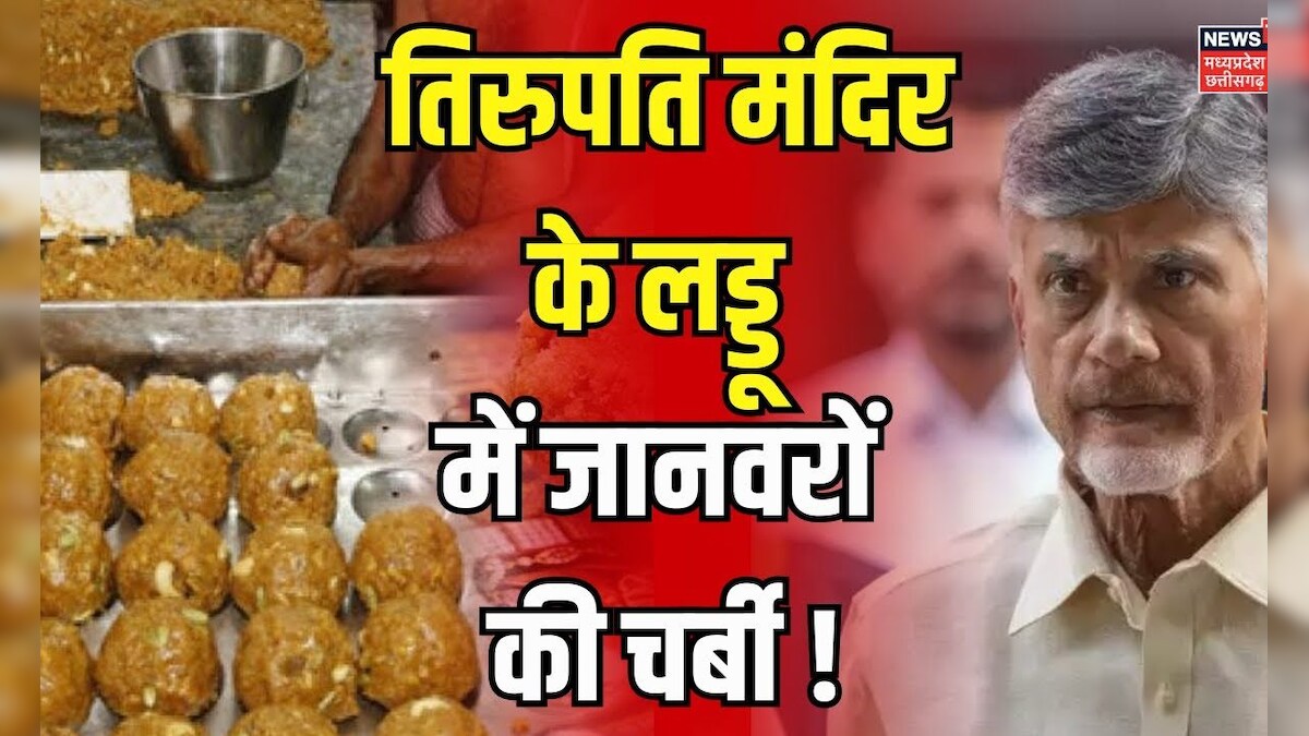 Tirupati laddu case : Tirupati के लड्डू में मिलावट का मामला | Chandrababu Naidu on Tirupati ...