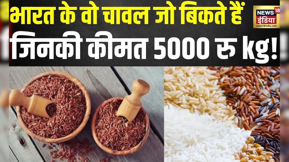Most Expensive Rice: भारत के वो चावल जो बिकते हैं 5000 रु किलो से ...
