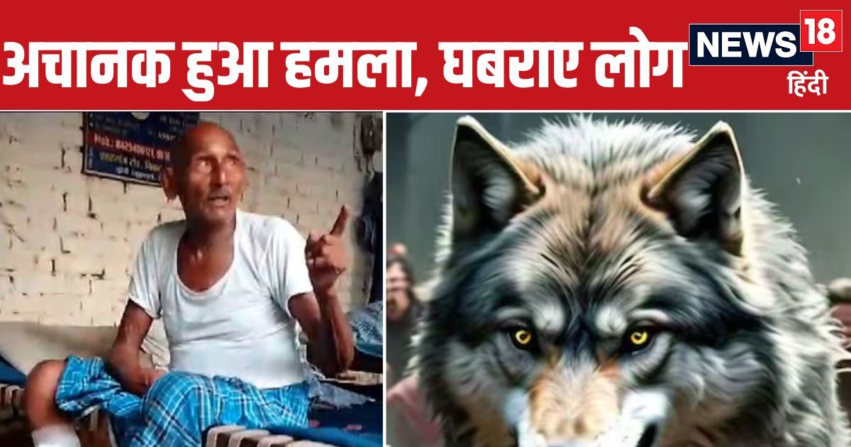 Jaunpur News: जौनपुर में जंगली जानवर की दहशत, 6 लोग घायल, रतजगा कर रहे ...