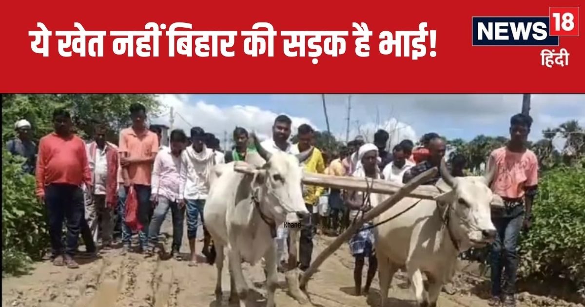 Gaya News: सड़क बन गई खेत, पुरुष चलाने लगे हल-बैल और धान की रोपनी करनें लगीं महिलाएं, गया में ...