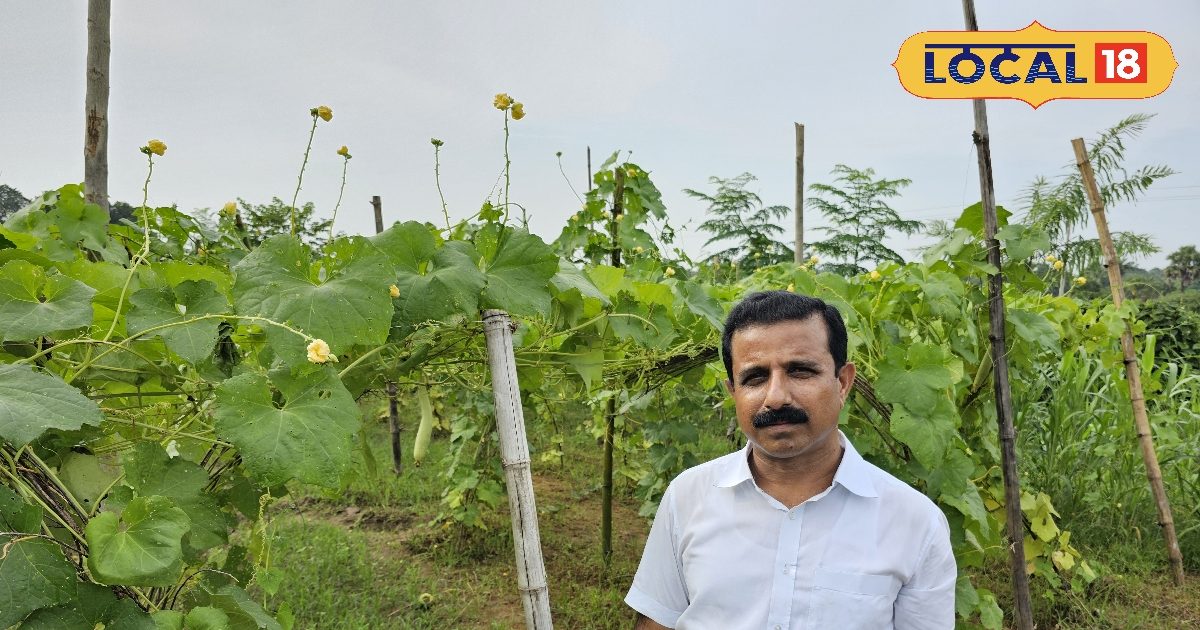 बिना खाद 5G स्पीड से उत्पादन, किसान की आय में 5 गुणा वृद्धि, जानेंं ...