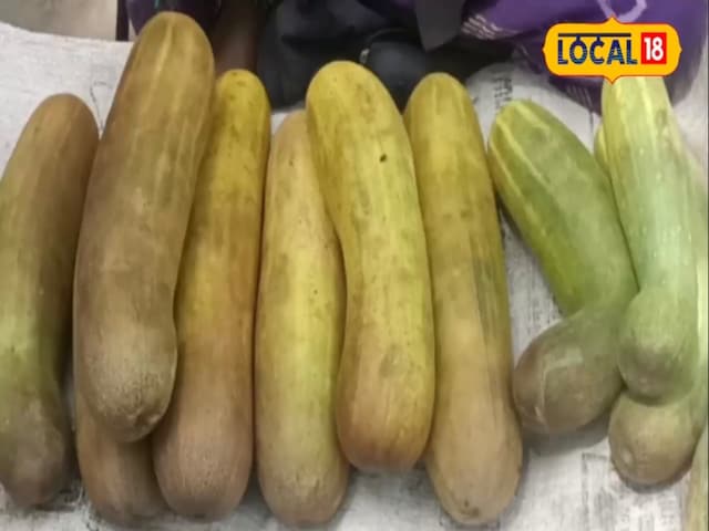 This fruit which looks like gourd is Balam Cucumber, it is effective in ...