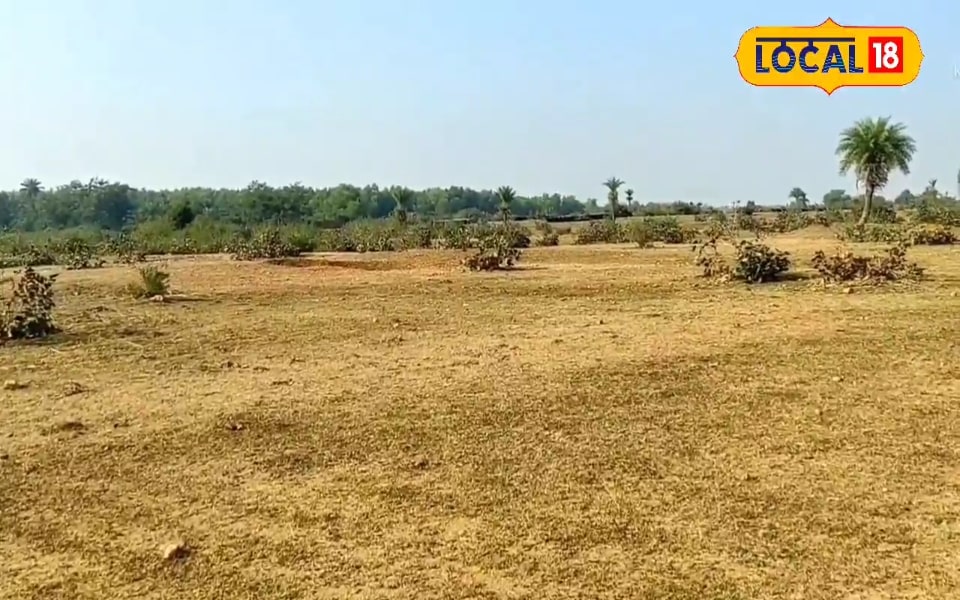 So are there no hidden reserves of gold in Jamui? Why is this being ...