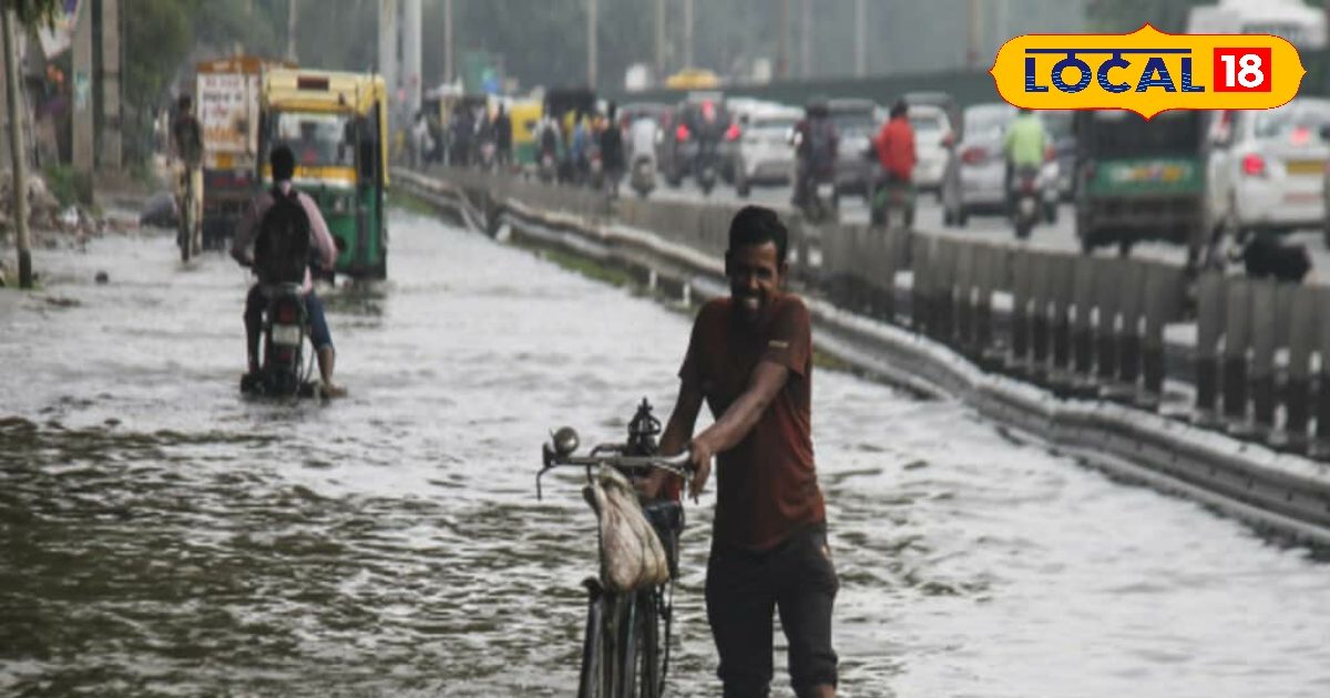 Weather Update: Rainfall in Rajasthan broke the record of last 49 years ...