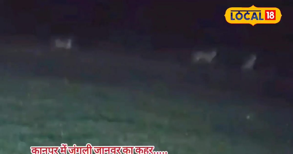 wild animals wreaked havoc in Kanpur forest department formed teams for ...