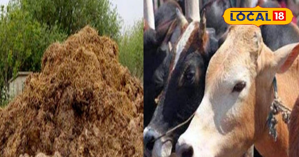 Good news for farmers and cattle rearers, a subsidy of Rs 10,000 will ...