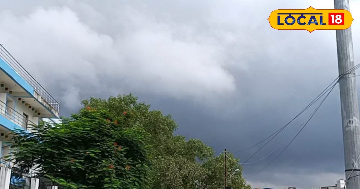 Gopalganj Weather: जिले का मौसम हुआ सुहाना, बारिश से किसानों के खिले चेहरे