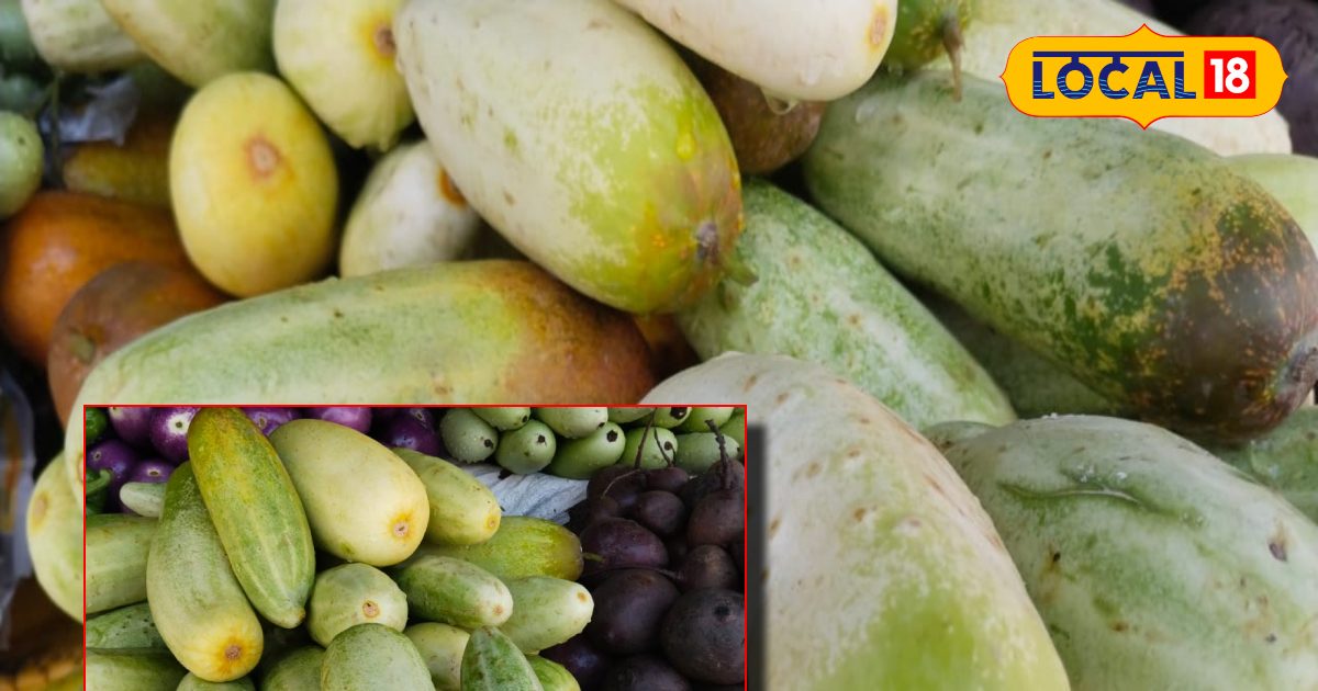 how to cultivate hill cucumber Benefits of eating Burning sensation in ...