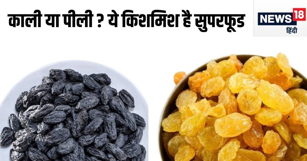 काली या पीली, कौन सी किशमिश है सुपरफूड, जहर को निकाल फेंकती है बाहर ...
