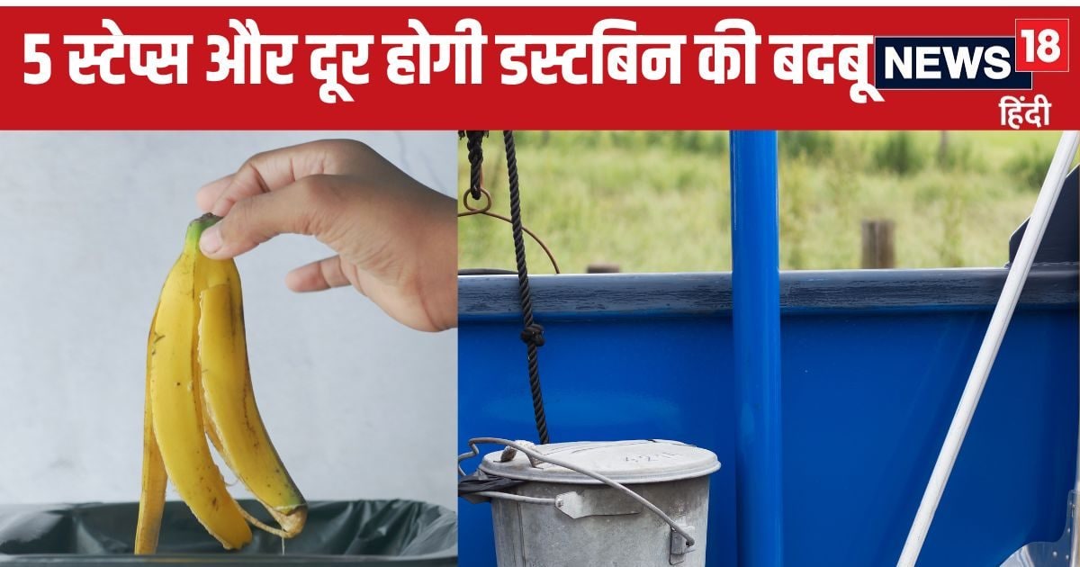किचन में रखे डस्टबिन से आ रही है भयंकर दुर्गंध, साफ करने के लिए 5 स्टेप ...