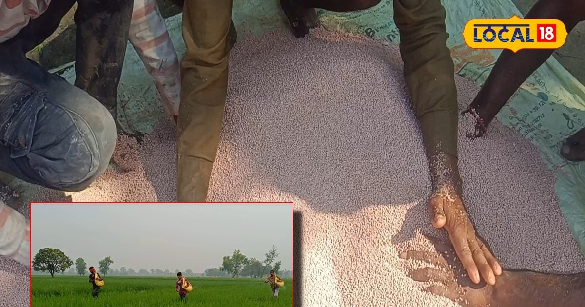 how to check urea dap potash zinc sulphate fertilizer in simple process ...