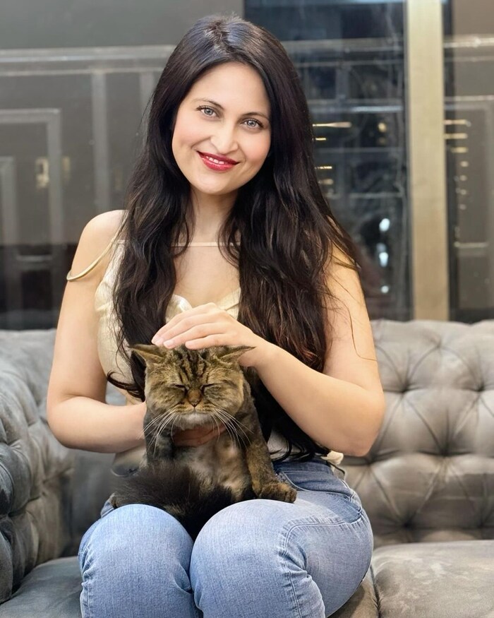 Kadambari Jethwani: एक्ट्रेस को 40 दिनों तक हिरासत में रखा, फिल्ममेकर के कहने पर 3 बड़े पुलिस ...