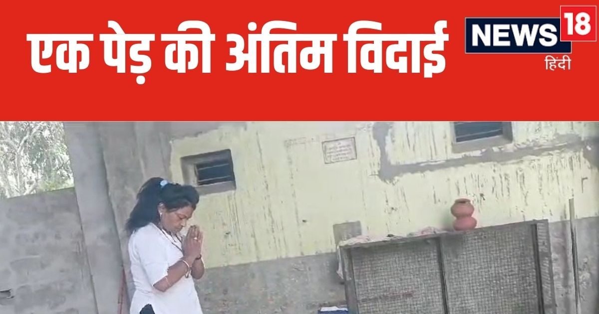 Bizarre News: न कभी देखा, न कभी सुना, पहली बार हुआ ऐसा, एक महिला ने किया 150 साल पुराने पेड़ का ...