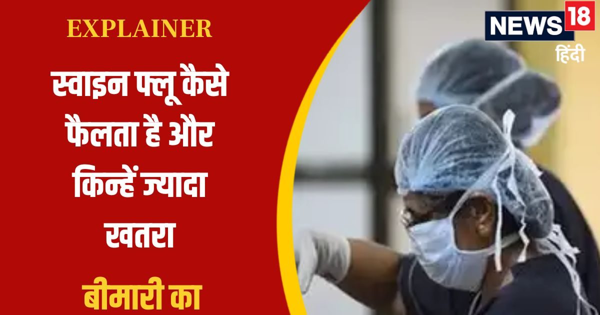 Explainer: स्वाइन फ्लू क्या है, कहां से आया, कैसे फैलता है और क्या हैं लक्षण? जानिये हर सवाल के ...