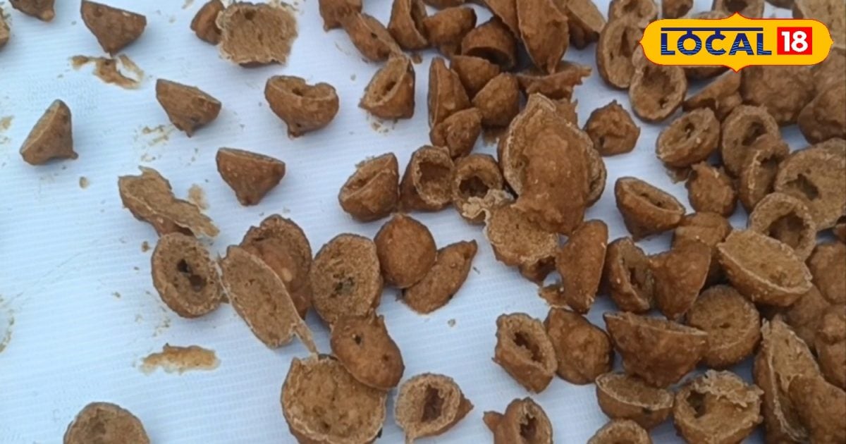 Mushroom Badi: स्वाद में लाजवाब सेहत को रखें तंदुरुस्त, जानें मशरूम ...